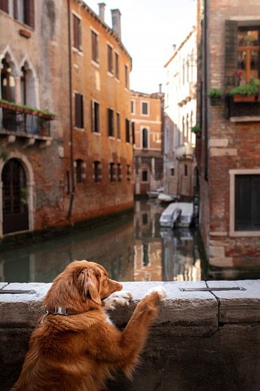 How to Experience Florence in Style