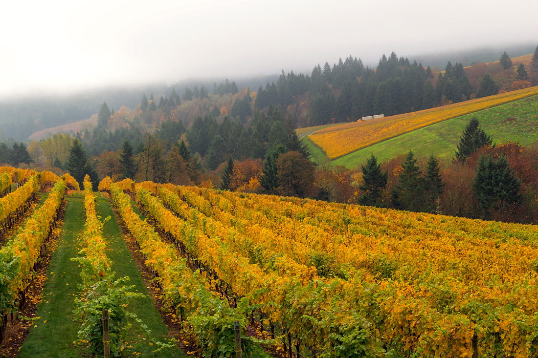 10 Most Beautiful Places in Oregon Every Nature Lover Should See