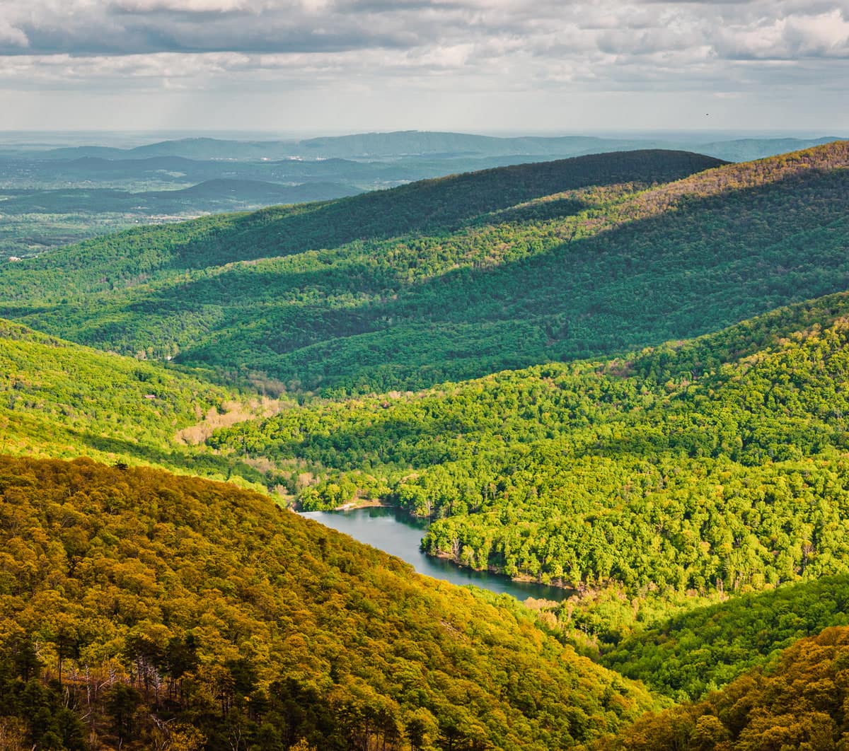 10 Must-Visit Wine Destinations in the US