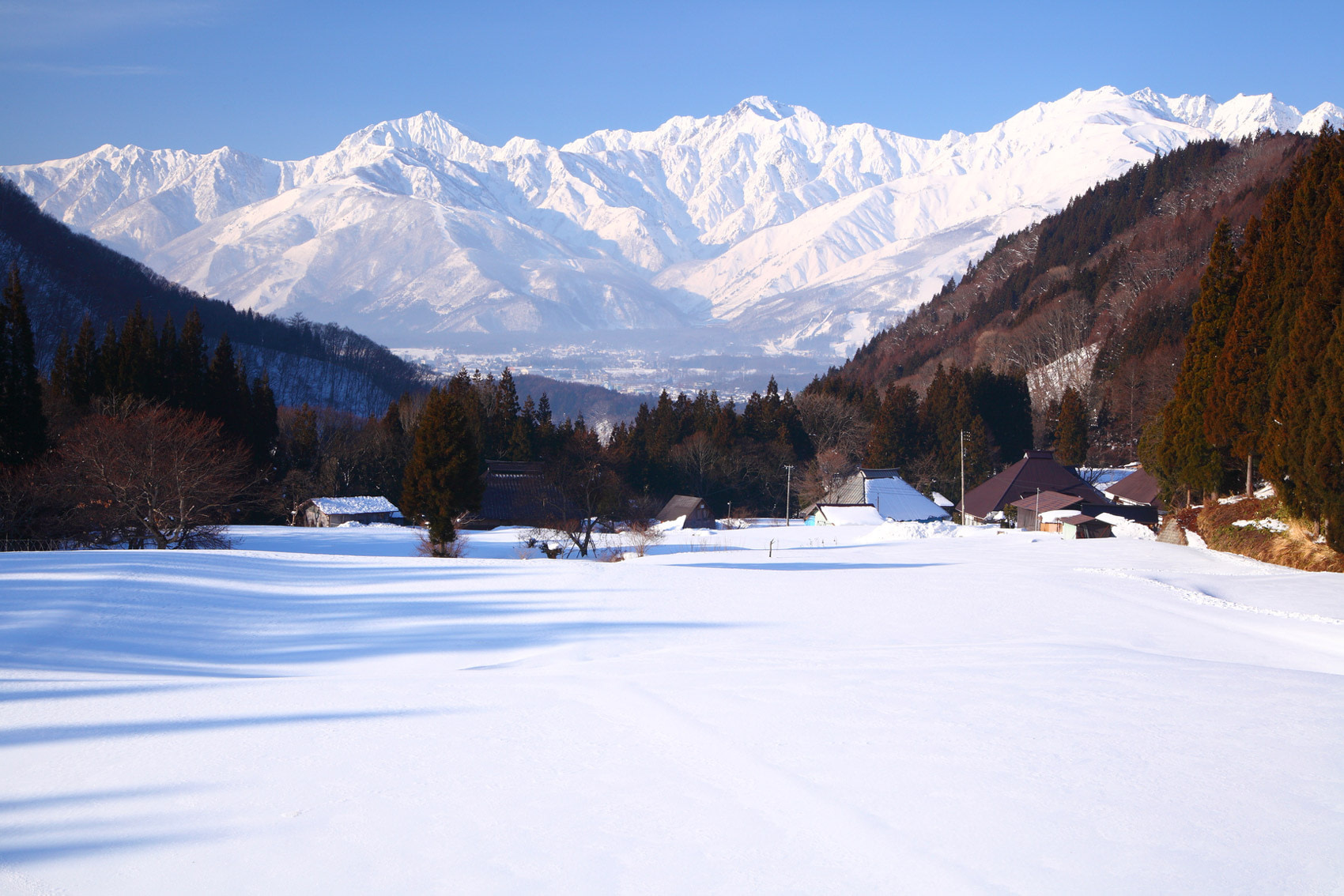 Top 7 Ski Resorts in Japan
