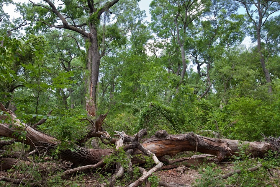 14 Unique Attractions in Romania | Travel Away