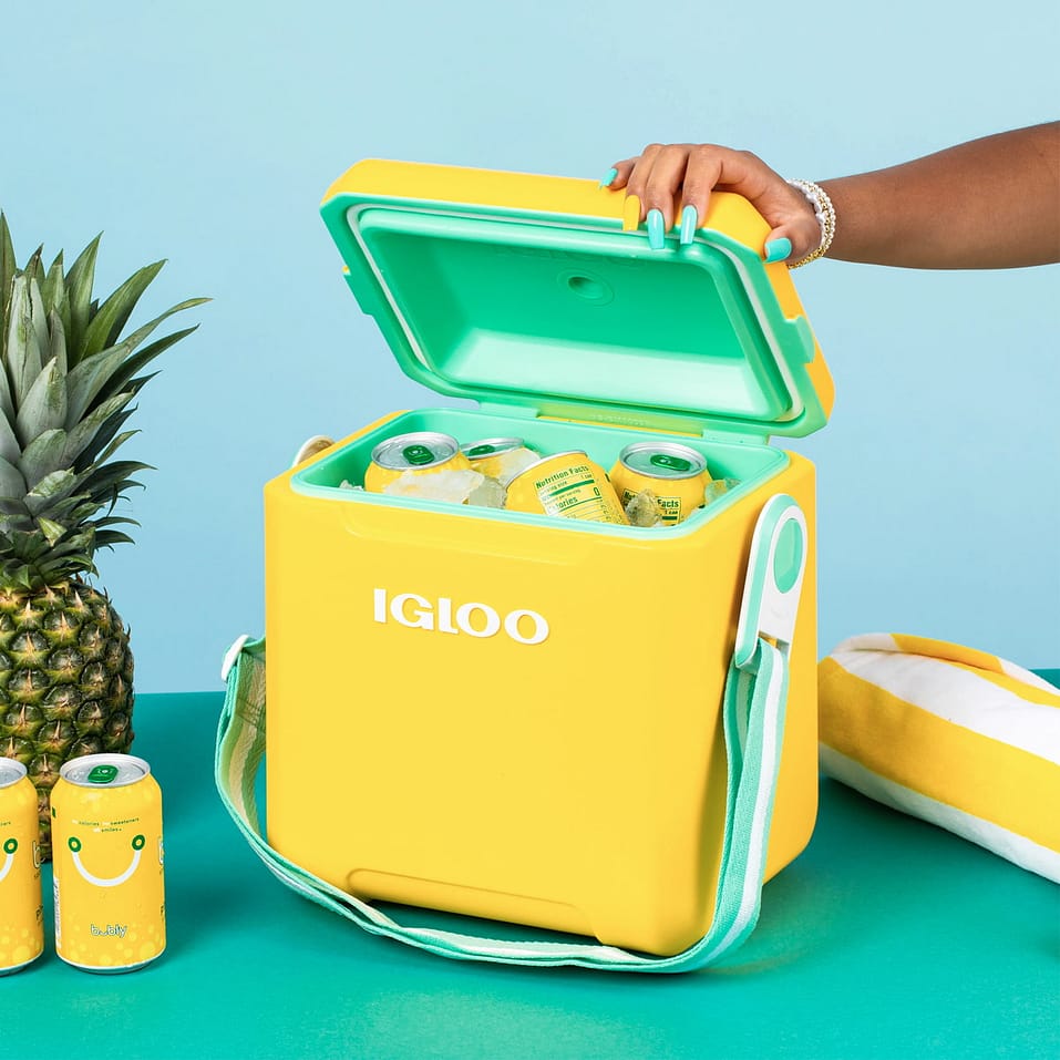 The Best Beach Coolers to Chill in the Sun