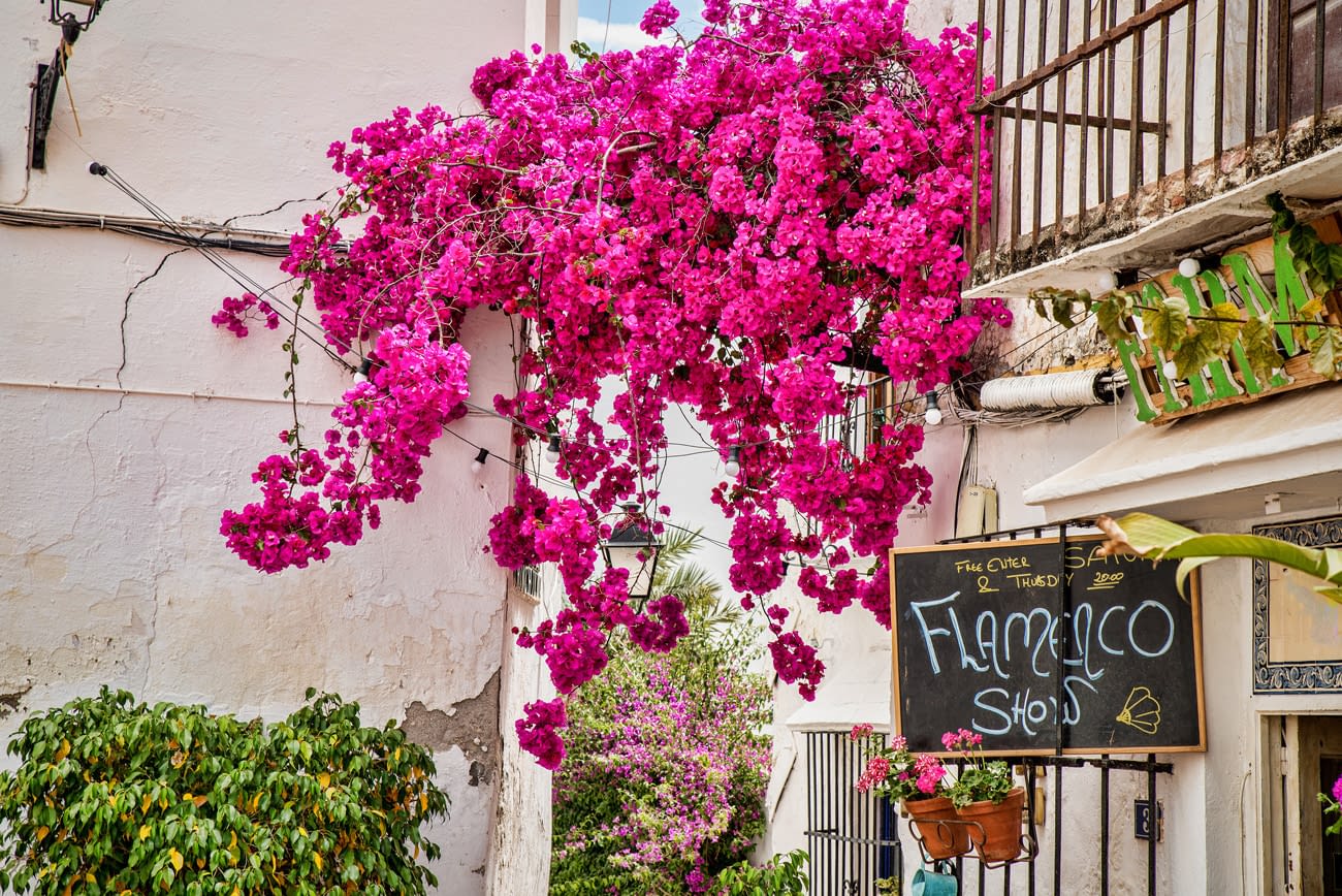 Marbella, Luxury and Old-World Charm