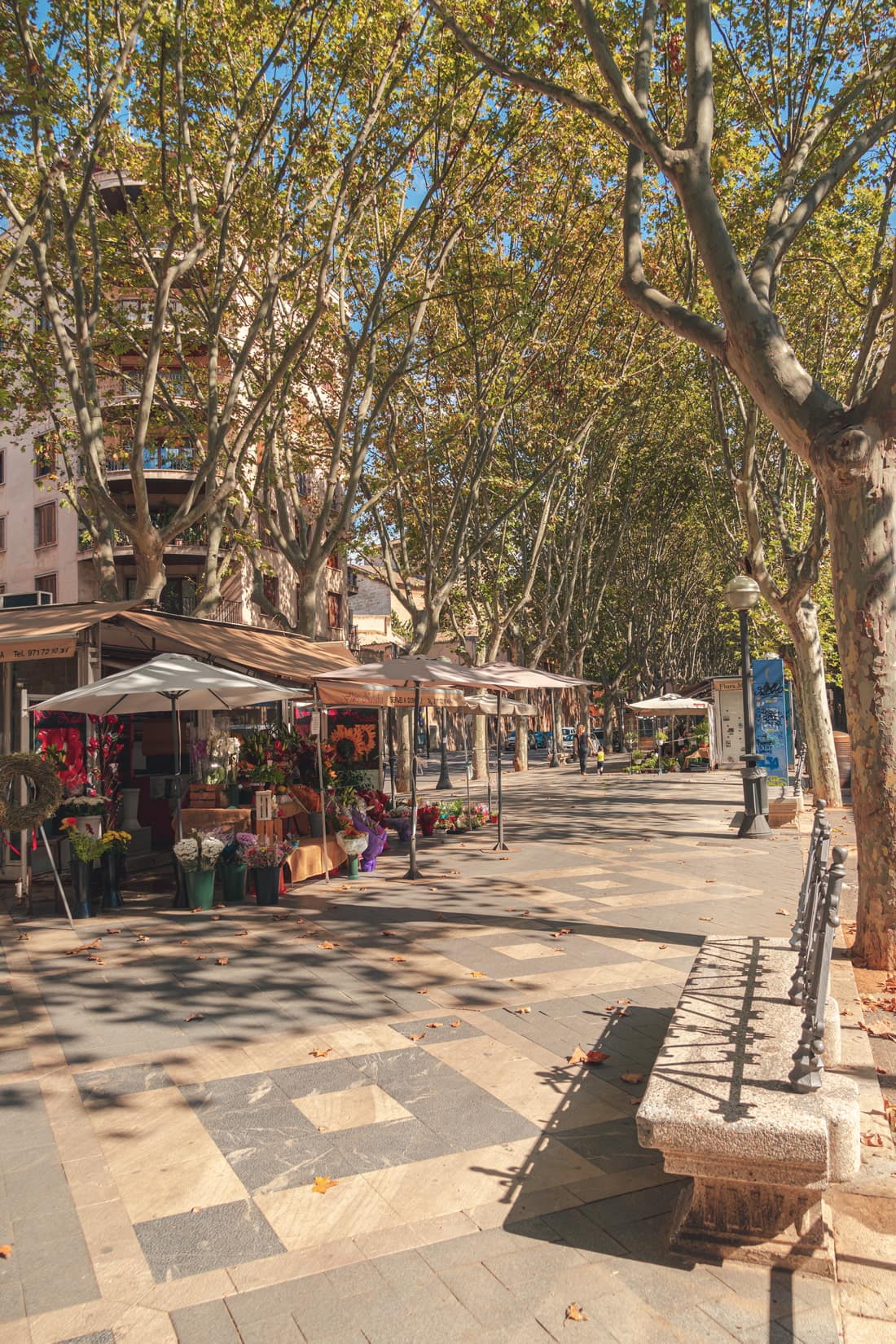 The Best Shopping Streets in Palma, Mallorca