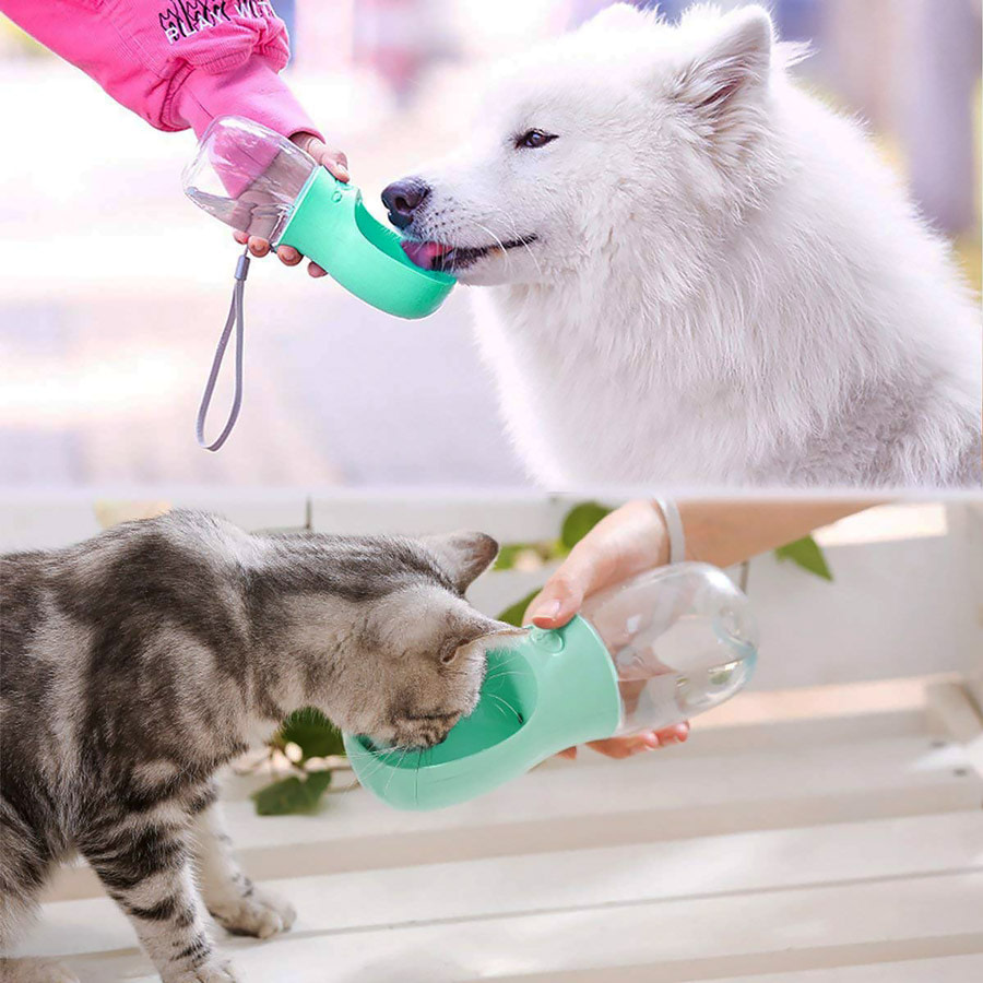 The 9 Best Pet Travel Accessories for a Fun, Stress-Free Trip