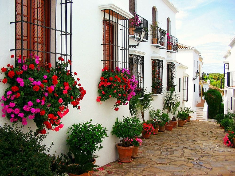 Top 7 Things To Do In Marbella