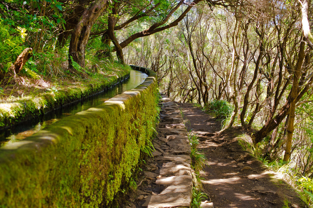 8 Best Things To Do in Madeira
