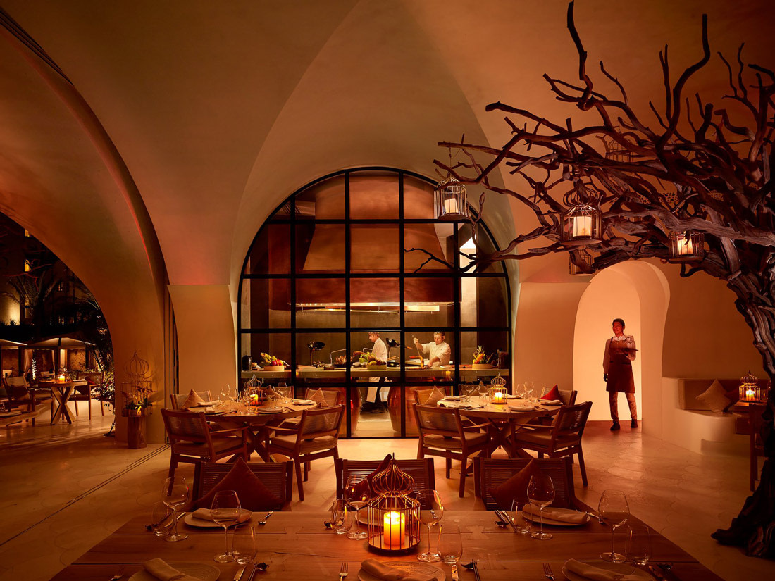 Cuisine and Design Collide at Los Cabos’ Arbol Restaurant