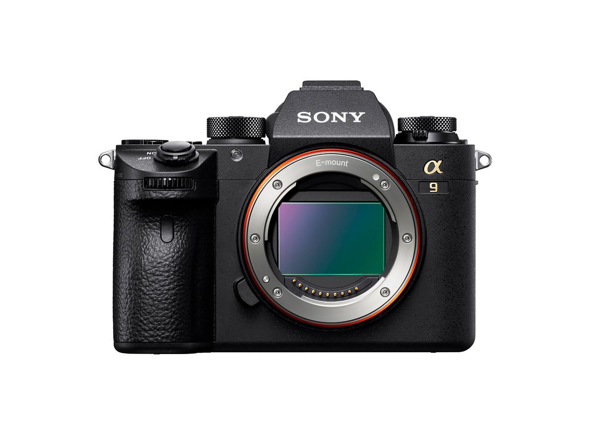 The Best Cameras in 2021 for Every Type of Photography