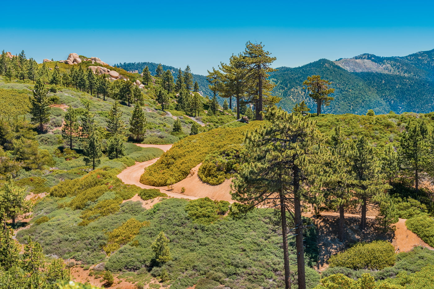 10 Cool Ways to Safely Explore Los Angeles Now