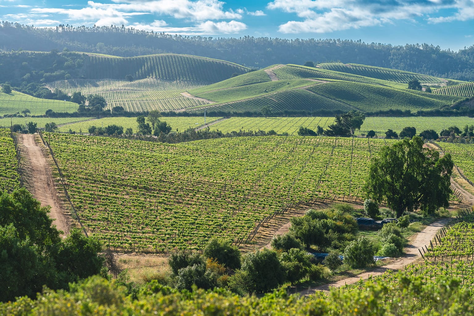 The 12 Most Beautiful Places to Visit in Chile