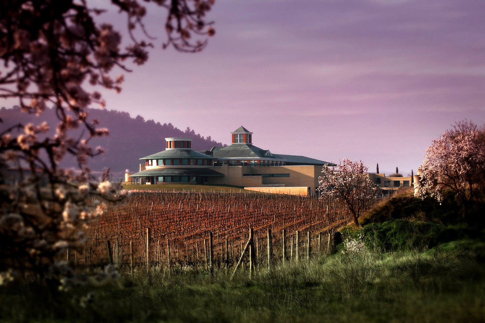 Best Wine-Themed Attractions in Europe