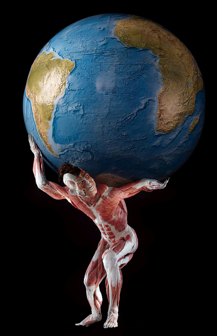 World’s First Museum Dedicated to the Human Body | Travel Away