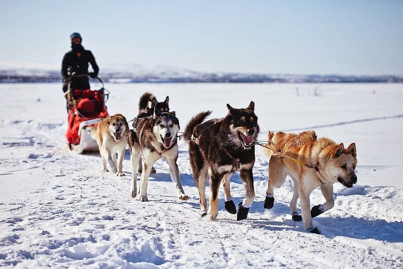The 10 Best Things to Do in Lapland This Winter