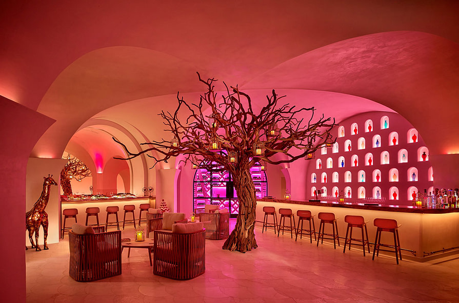 Cuisine and Design Collide at Los Cabos’ Arbol Restaurant