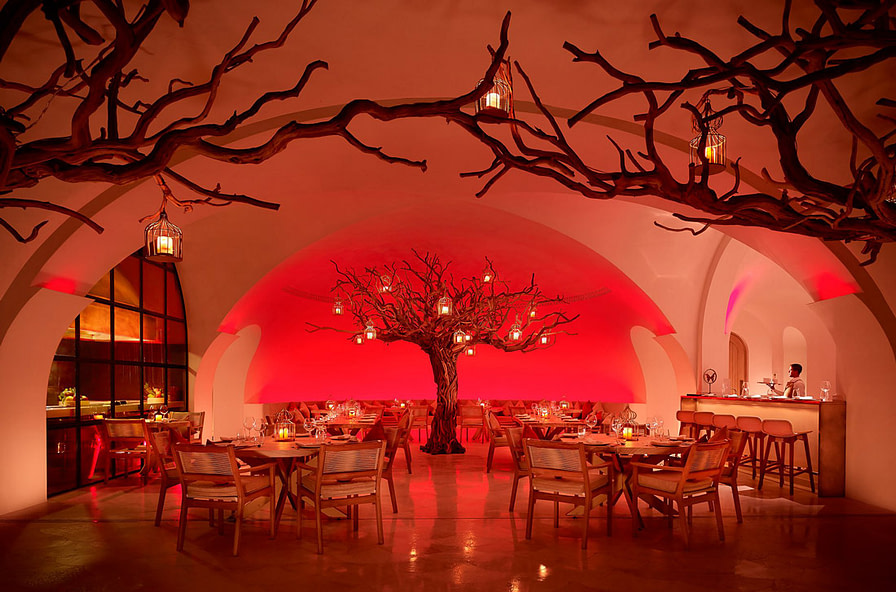 Cuisine and Design Collide at Los Cabos’ Arbol Restaurant