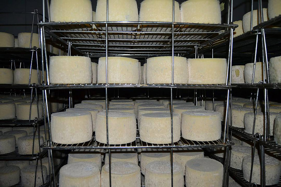10 Travel Destinations Every Cheese Lover Should Visit