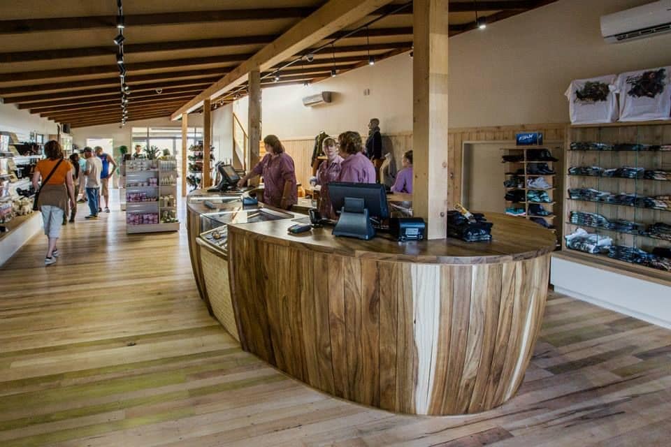 Hobbiton, The Real Hobbit Village in New Zealand